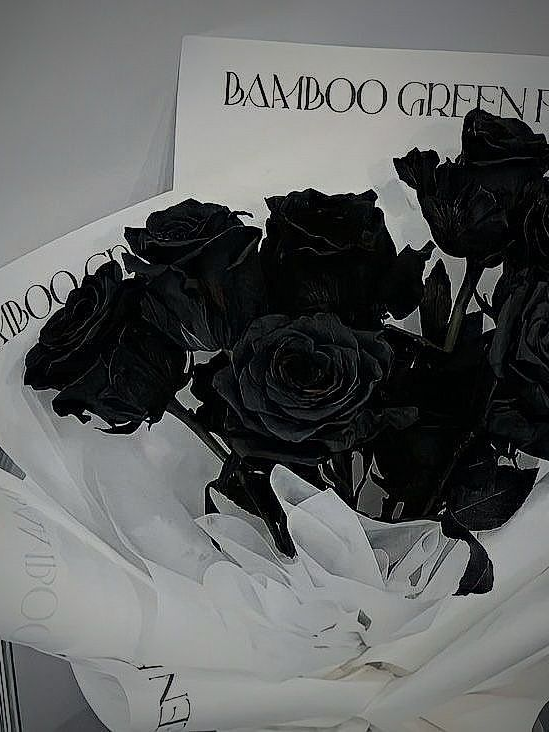 虎杖 悠仁 - 제타