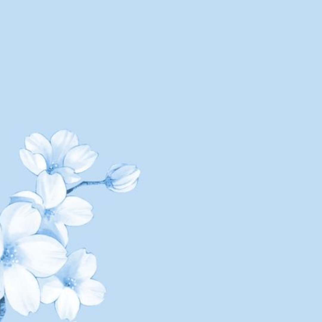 수경사에아내인당신! - 제타