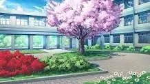 Omegaverse School - zeta