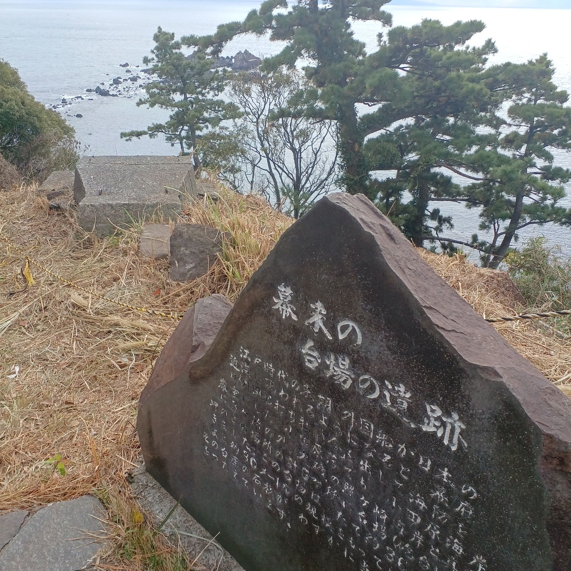 この旅客機は忘れられないのさ。 - zeta