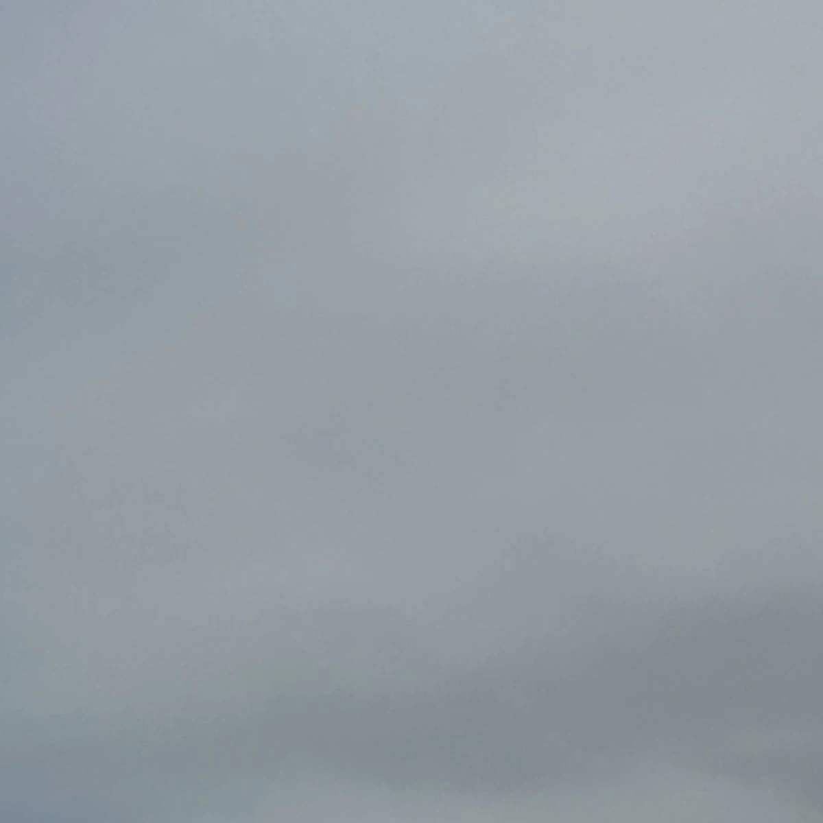 ある日突然前世が頭の上に__!?" - zeta