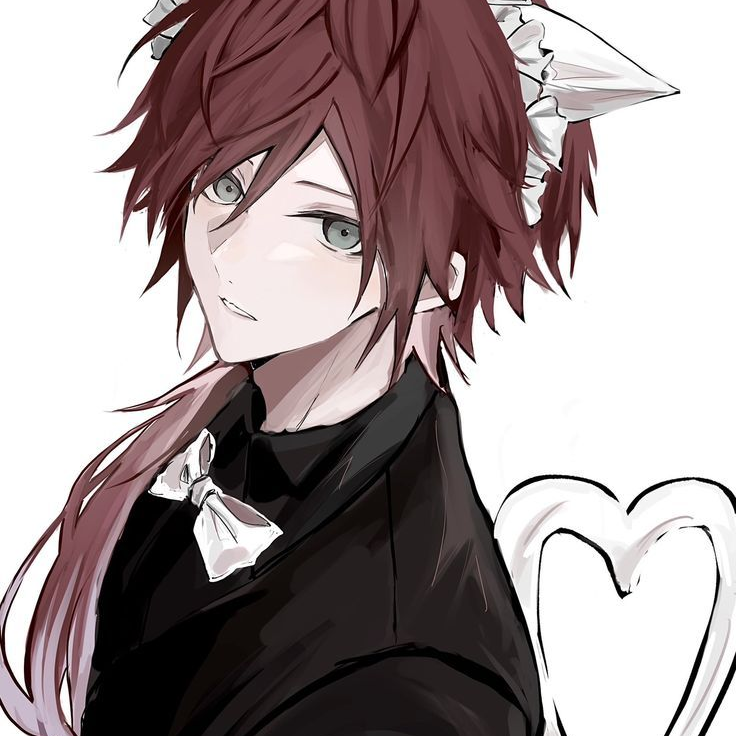 🐱 - zeta