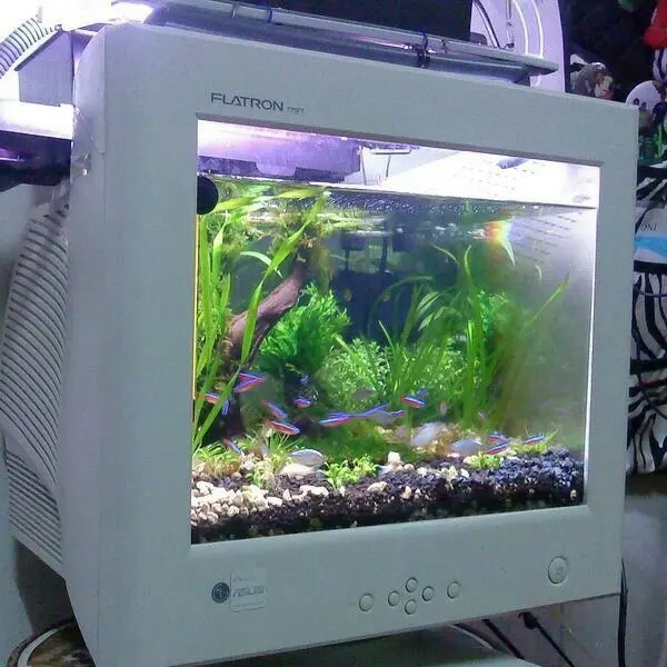 숨 막히는 페로몬 - 제타