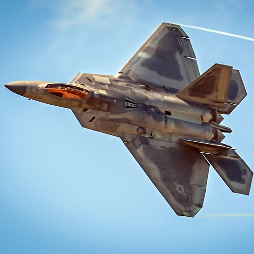 미공군 F22 랩터 | 비바챤보 부계정1 (@USAF_F22_Raptor) - zeta