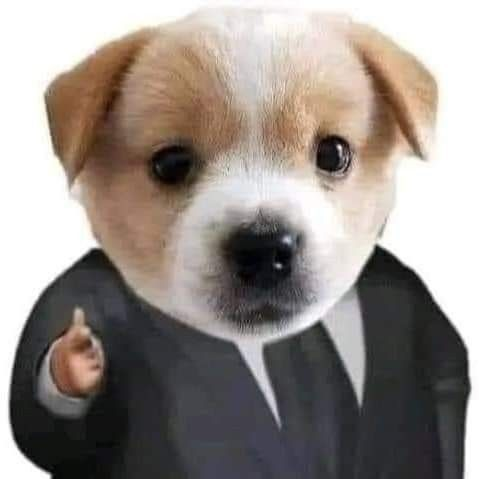 @DeafBlood9131 - zeta