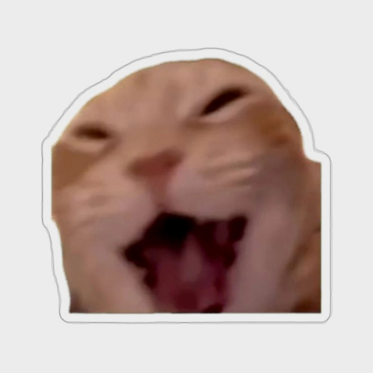 바보 (@Utcm_love) - zeta