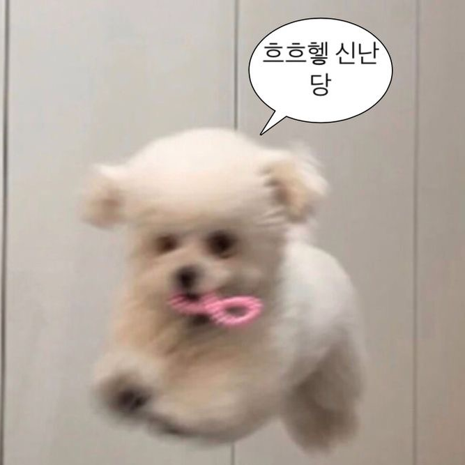 우헤헿 (@Uhehe) - 제타