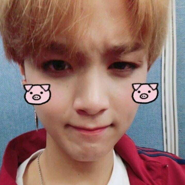 찬찬 (@chanchan_) - zeta