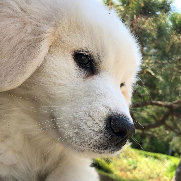 모옹.. (@Meung__) - zeta