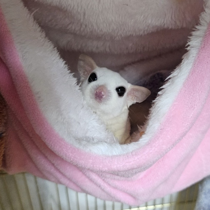 •3• (@25.kim) - zeta