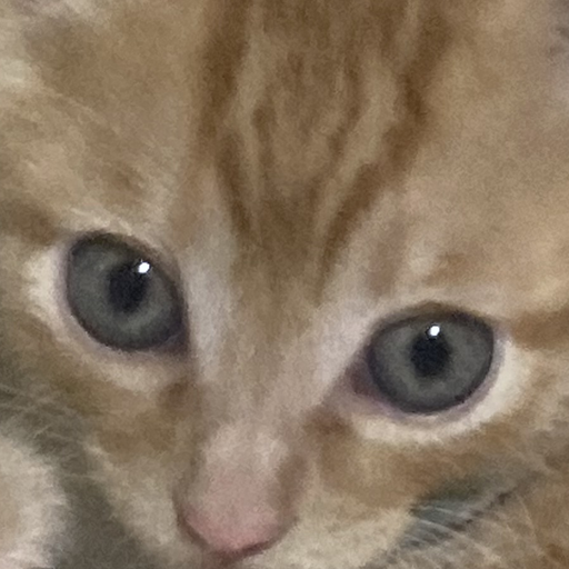 뮤잉ㅇ (@Mewing._.) - zeta